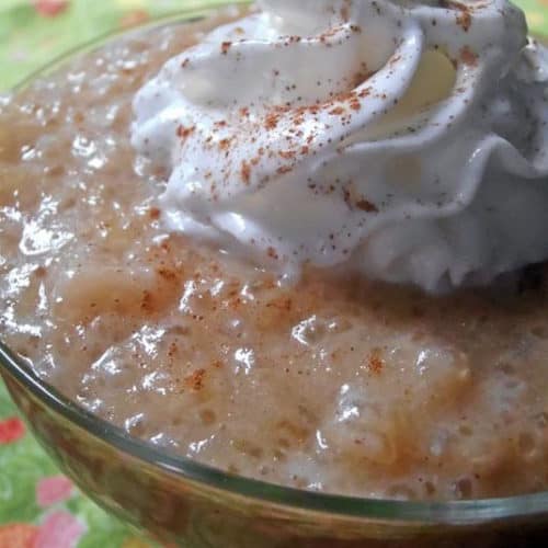 Refreshing and Easy Apple Tapioca Pudding Recipe - Mom Spark
