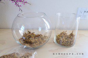 Simple DIY Terrarium Tutorial - Mom Spark