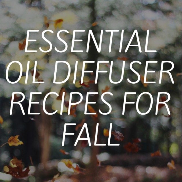 Essential Oil Diffuser Recipes For Fall | Mom Spark - Mom Blogger